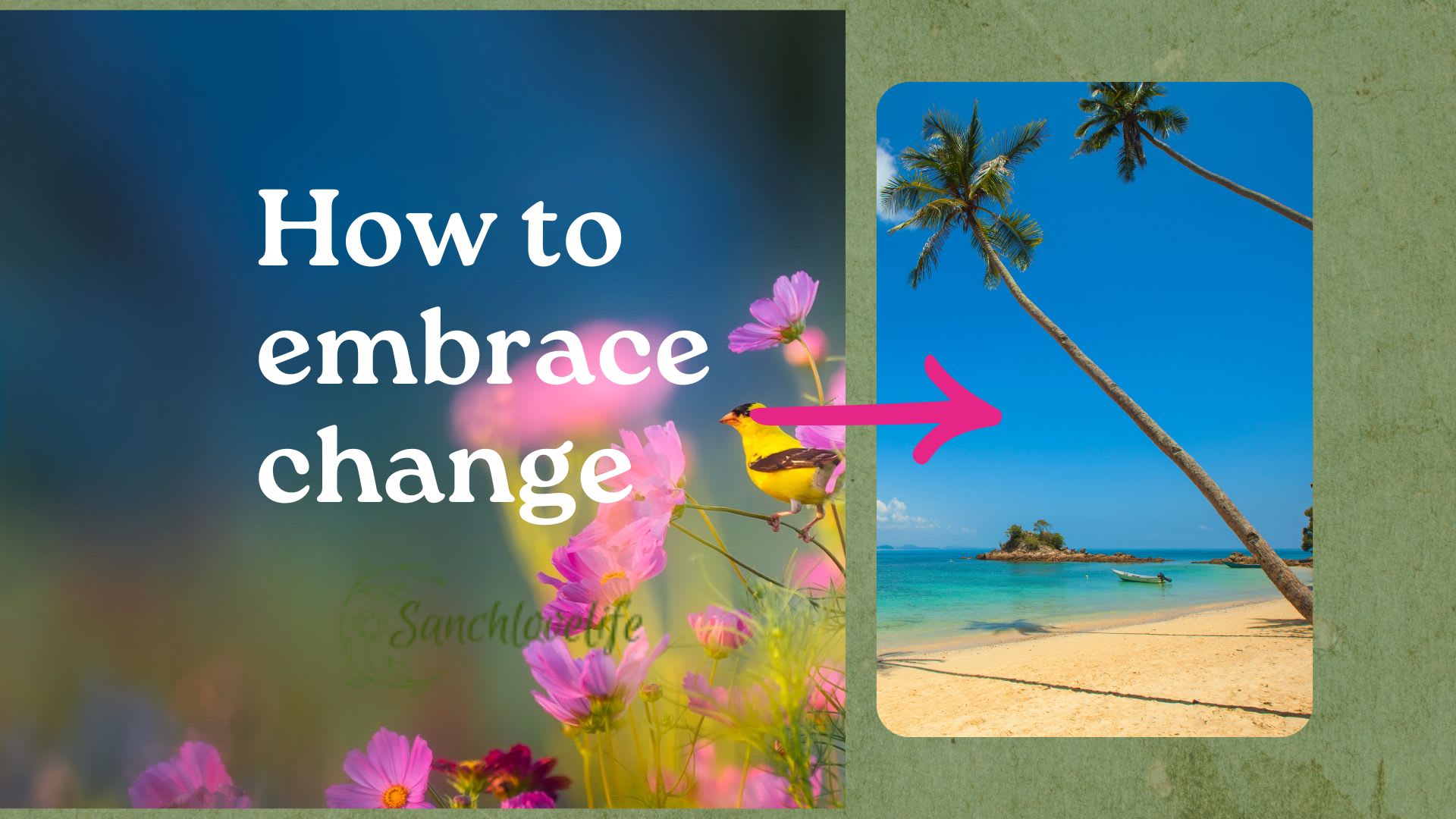 how-to-embrace-change