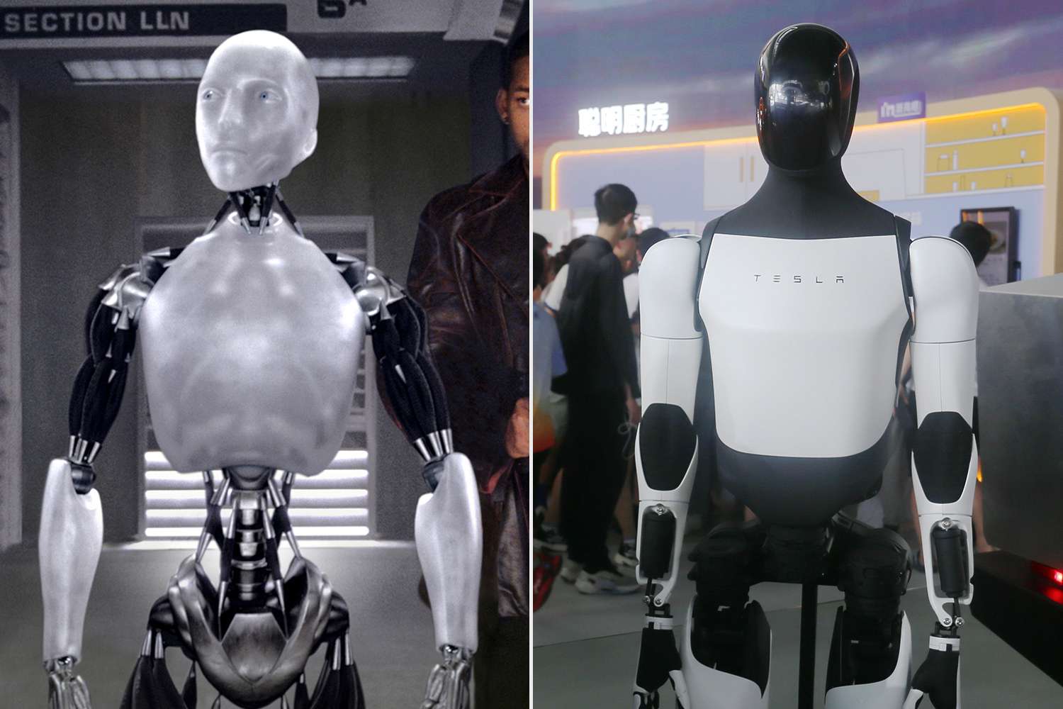 The Launch of Elon Musk's Optimus Robot and Its Impact on Coworking Spaces