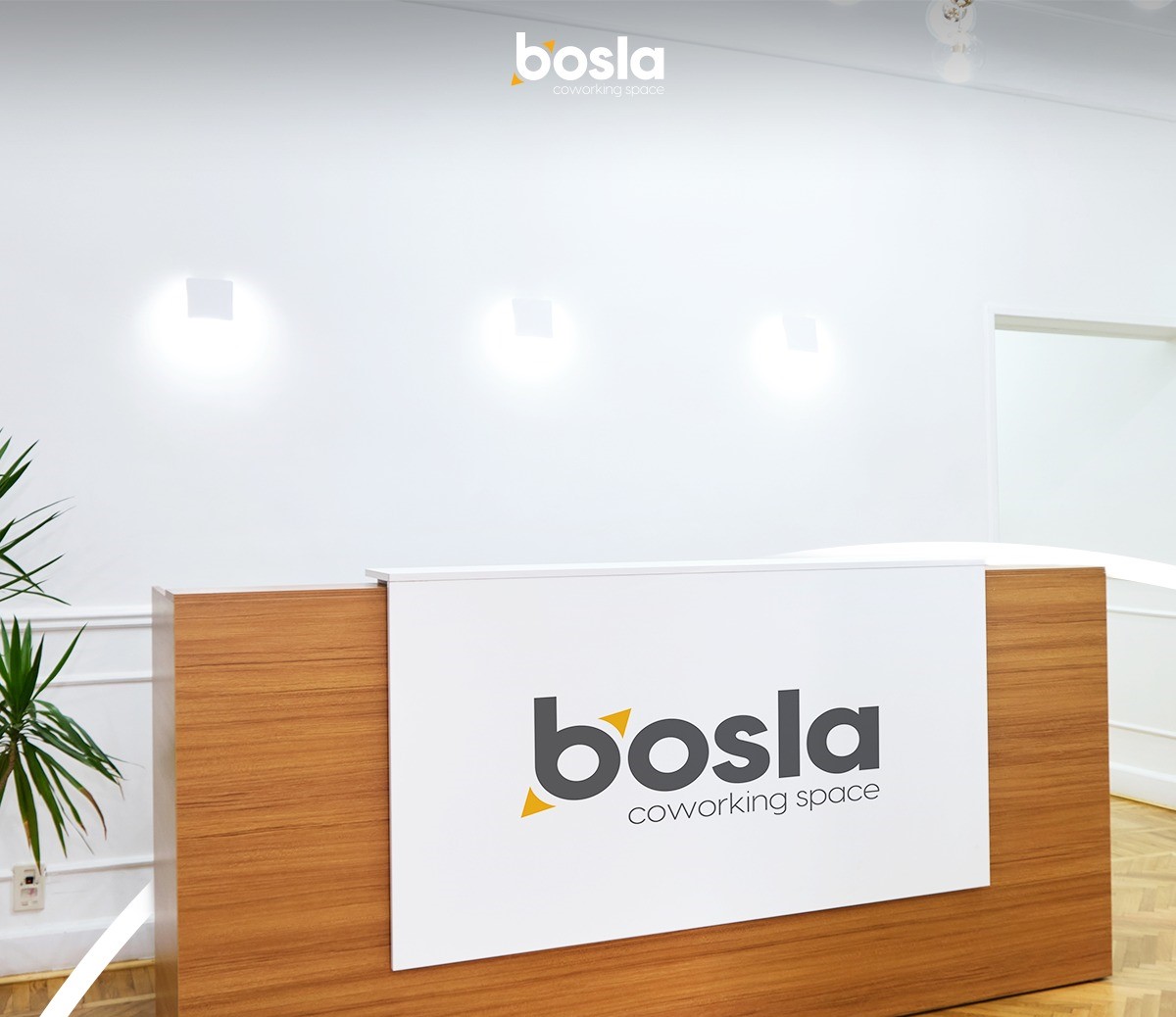 Bosla Co-working Space - Egypt