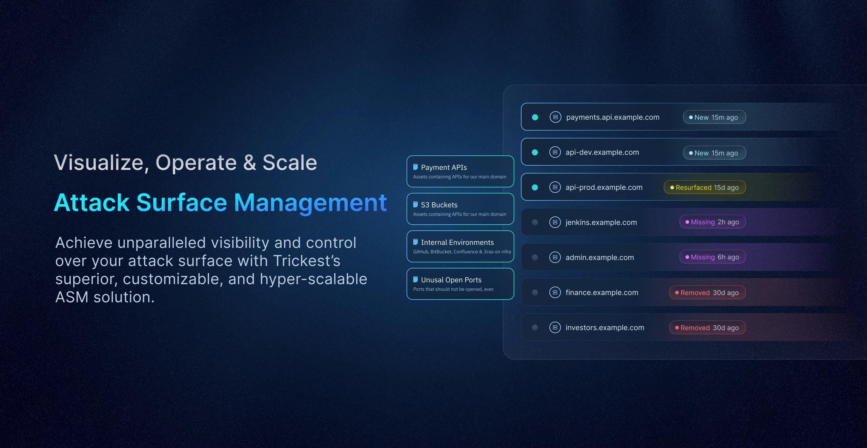 Customizable Attack Surface Management (ASM) Solution