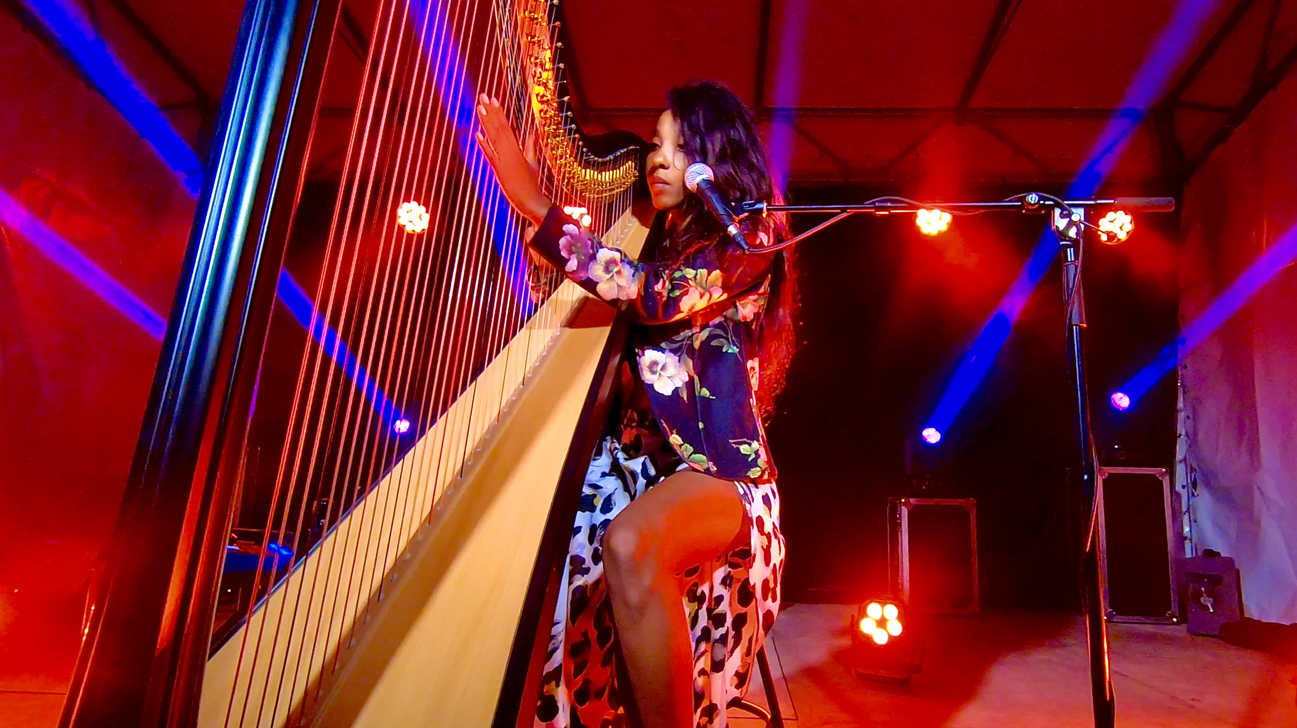 ZEM → Hier direkt online buchen