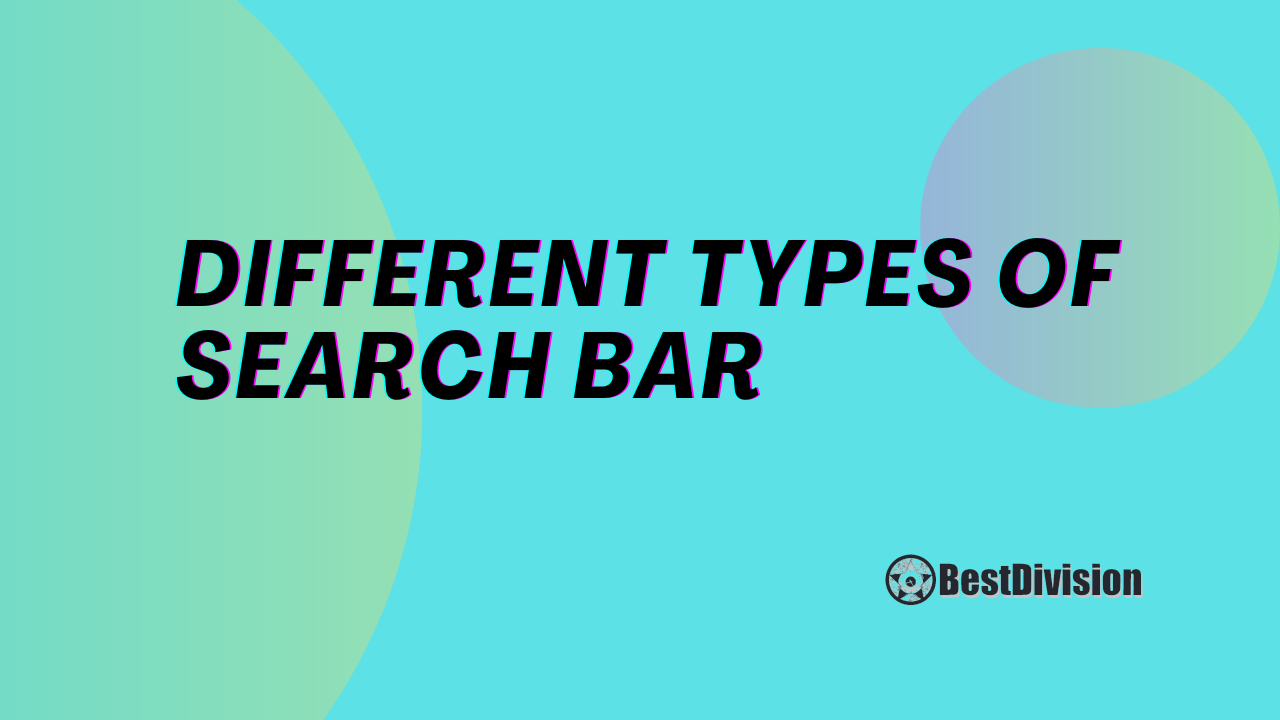 Different types of search bar | BestDivision