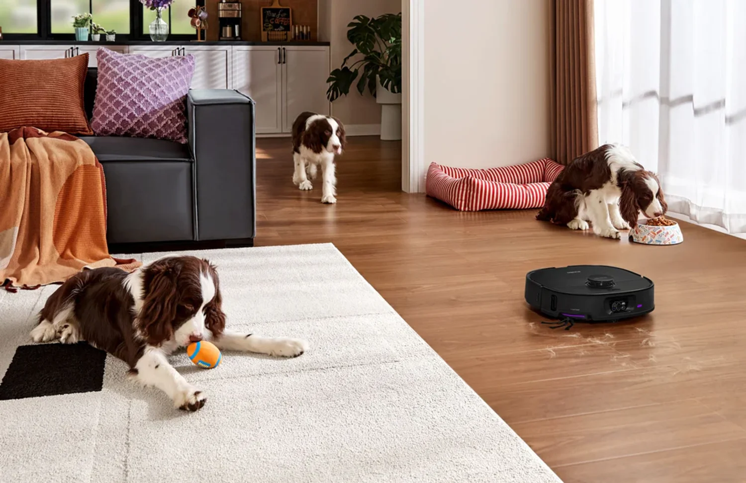 Narwal Flow by Narwal vs Eureka J15 Max Ultra by Eureka 2025 | Robot ...