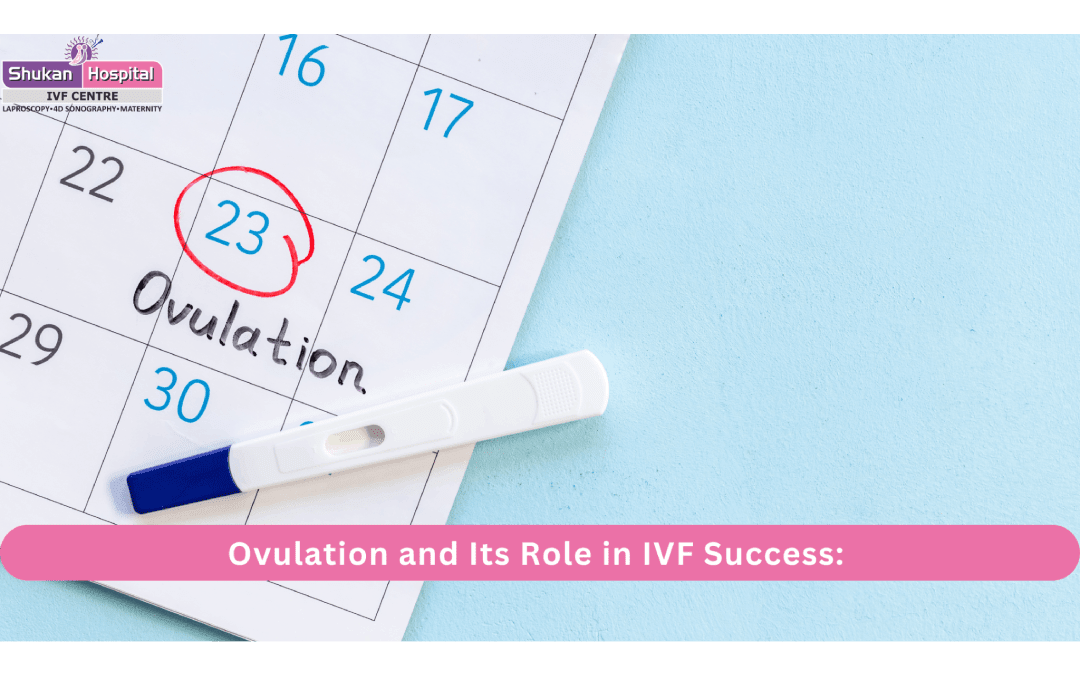 Role in IVF Success Comprehensive Guide for Aspiring Parents