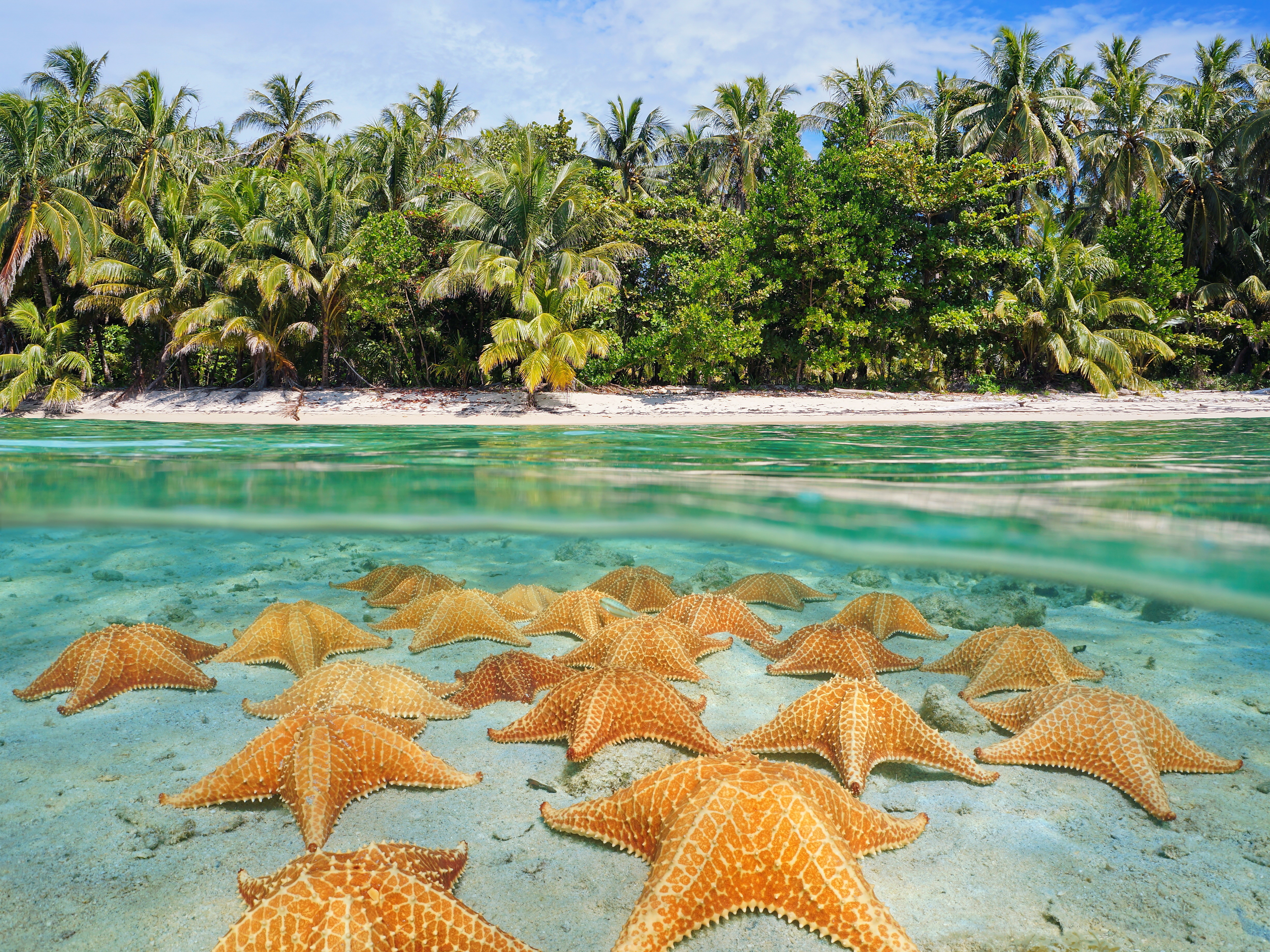 Panama: 14 Tage Bocas del Toro & Panama City