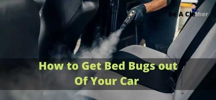 How to Get Bed Bugs Out of Your Car — Be A Cleaner
