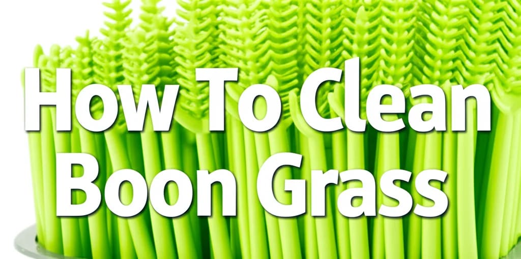How To Clean Boon Grass — Be A Cleaner