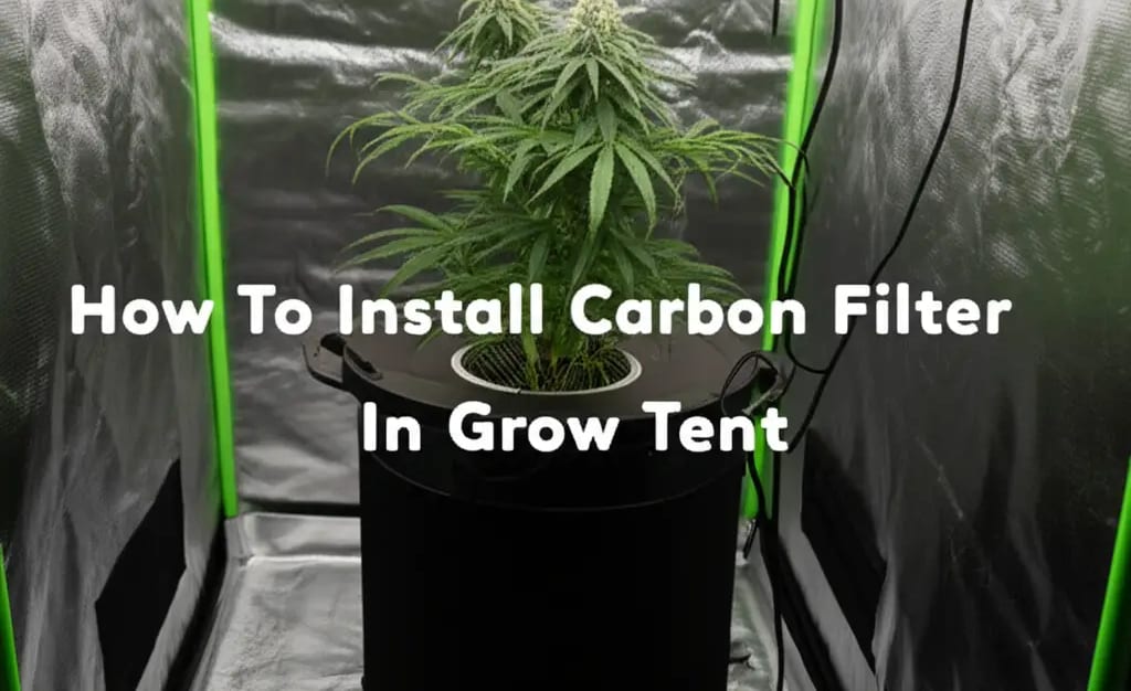 How To Install Carbon Filter In Grow Tent — Home Essentials Guide (HEG)