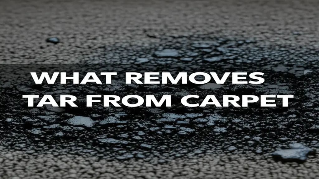 What Removes Tar From Carpet — Home Essentials Guide (HEG)