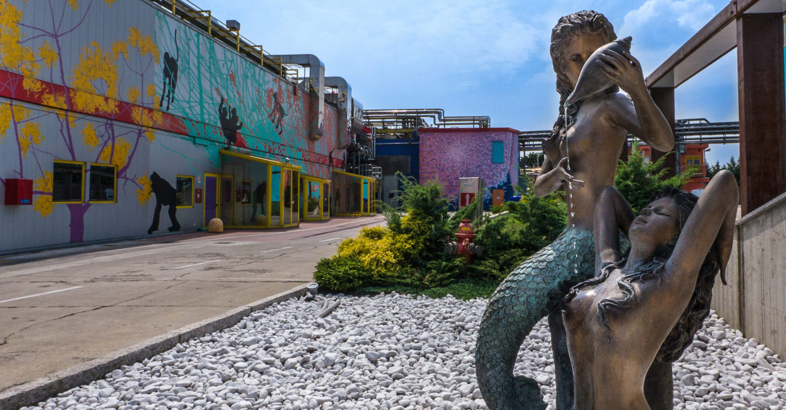 ACS Dobfar, una storia particolare a partire dal nome dell'azienda ...