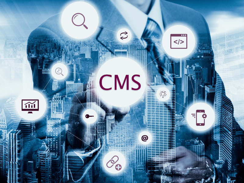 The Power of Integrated SEO and CMS Solutions - Local SEO For Local ...