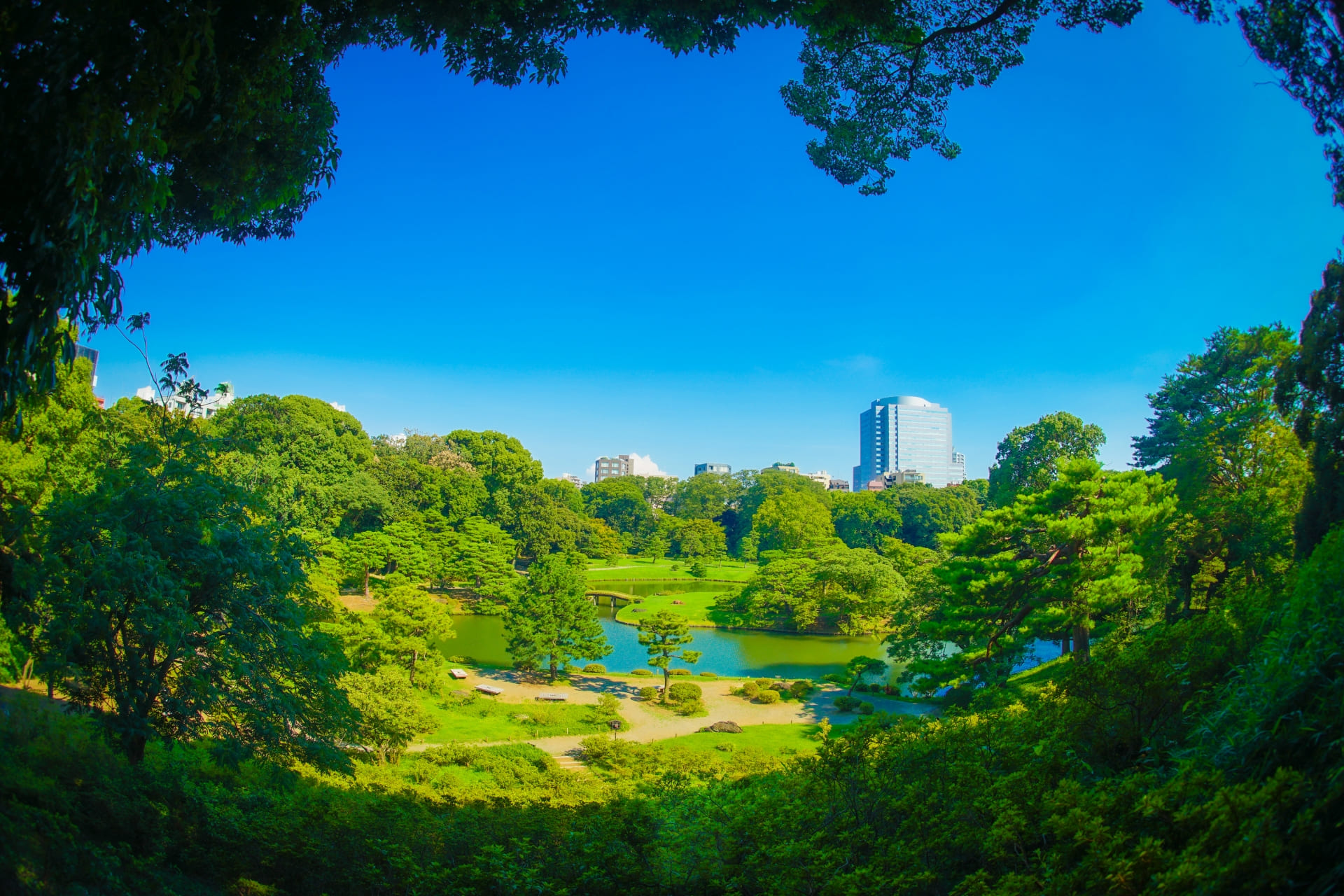Best Parks in Tokyo: Top Green Spaces to Visit in the City | LensTokyo