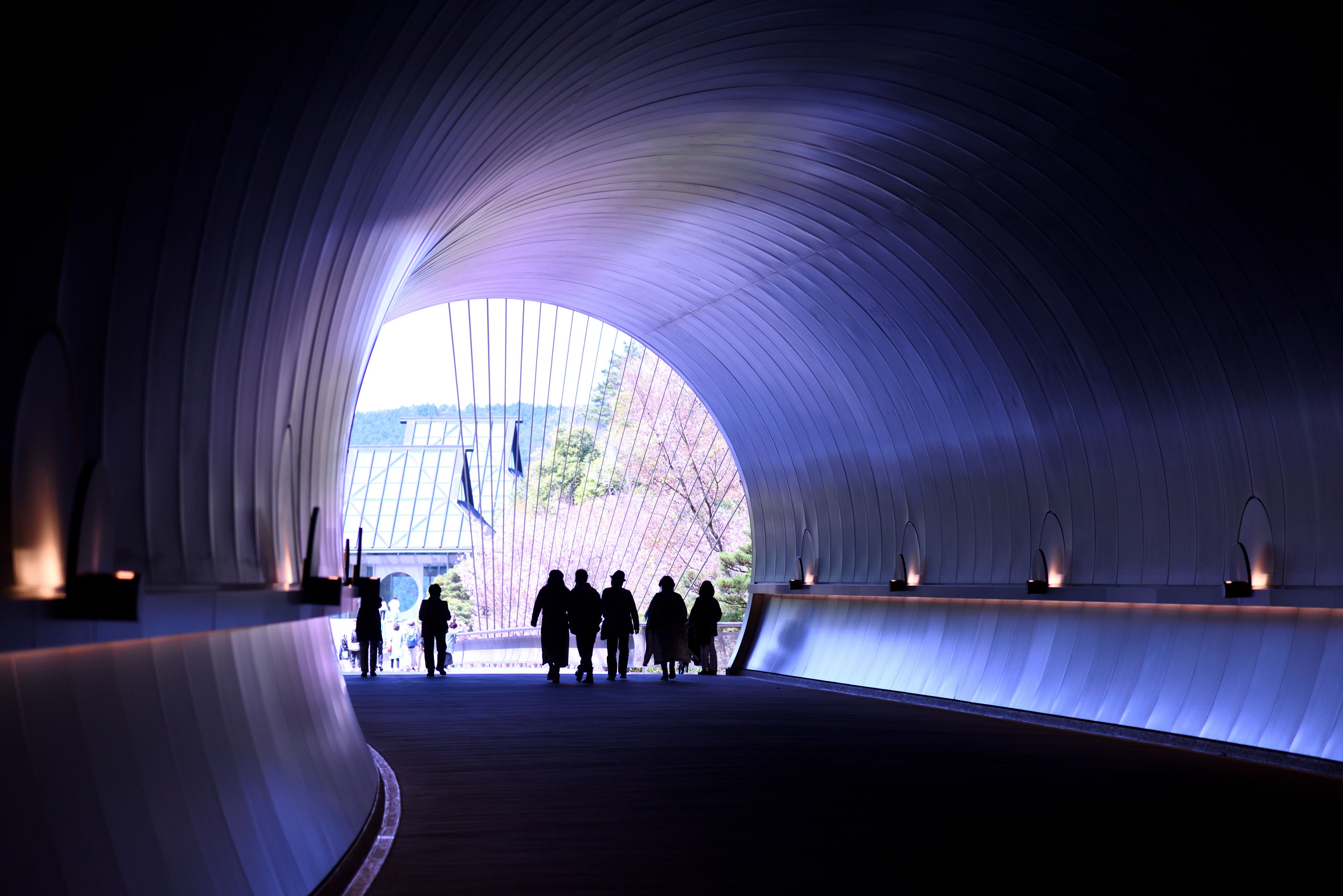 MIHO MUSEUM – Things to Know: Best Times, Access & Prices | LensTokyo