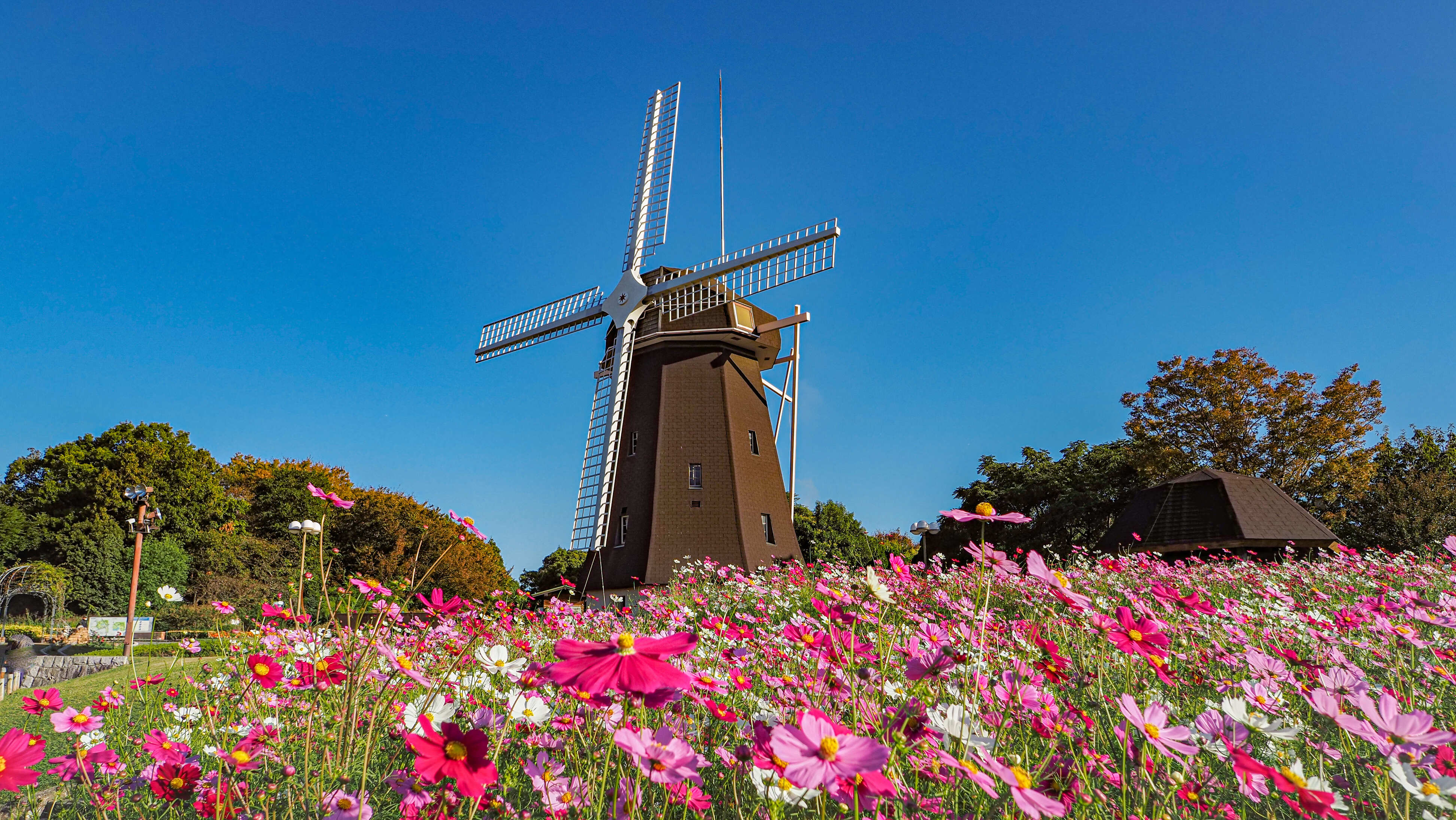 Tsurumi Ryokuchi Park – Things to Know: Best Times, Access & Prices | LensTokyo