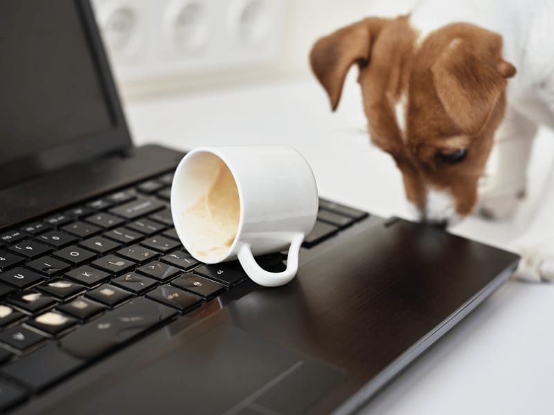 Common Computer Issues: Sticky or Unresponsive Keys - Safemode Computer Service