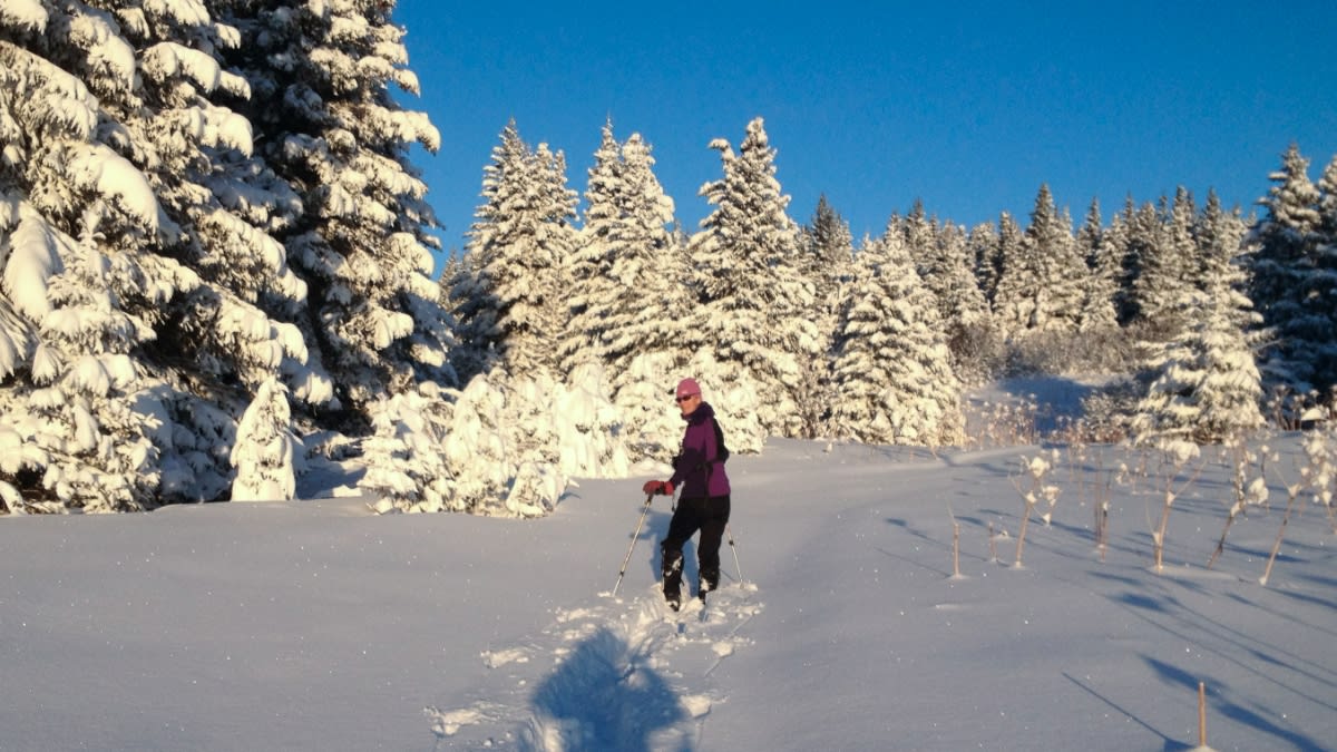 Winter Exercise And Good Form | Nutritious Movement