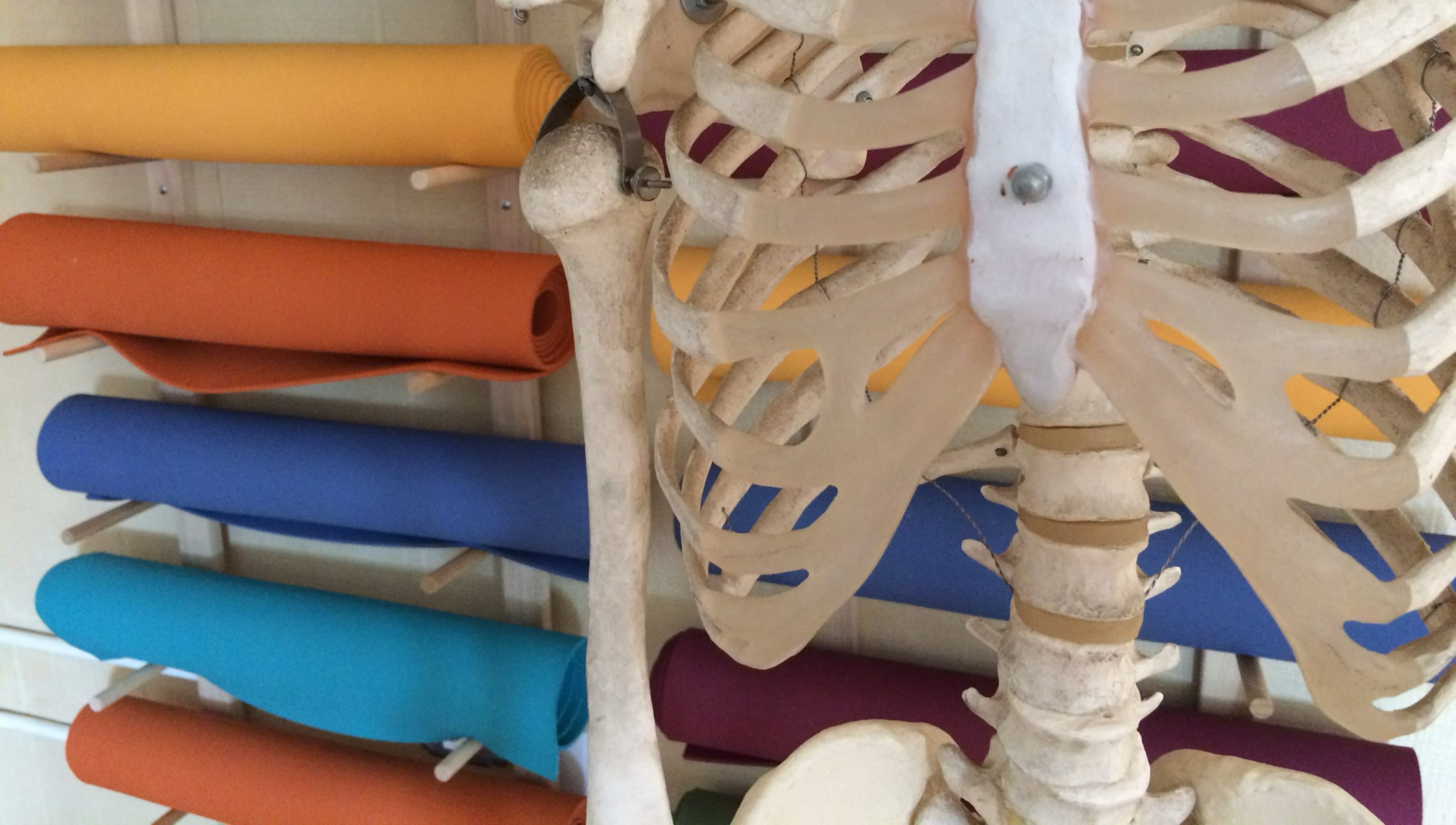 Exercise For Osteoporosis, Growing, And Stable Bone