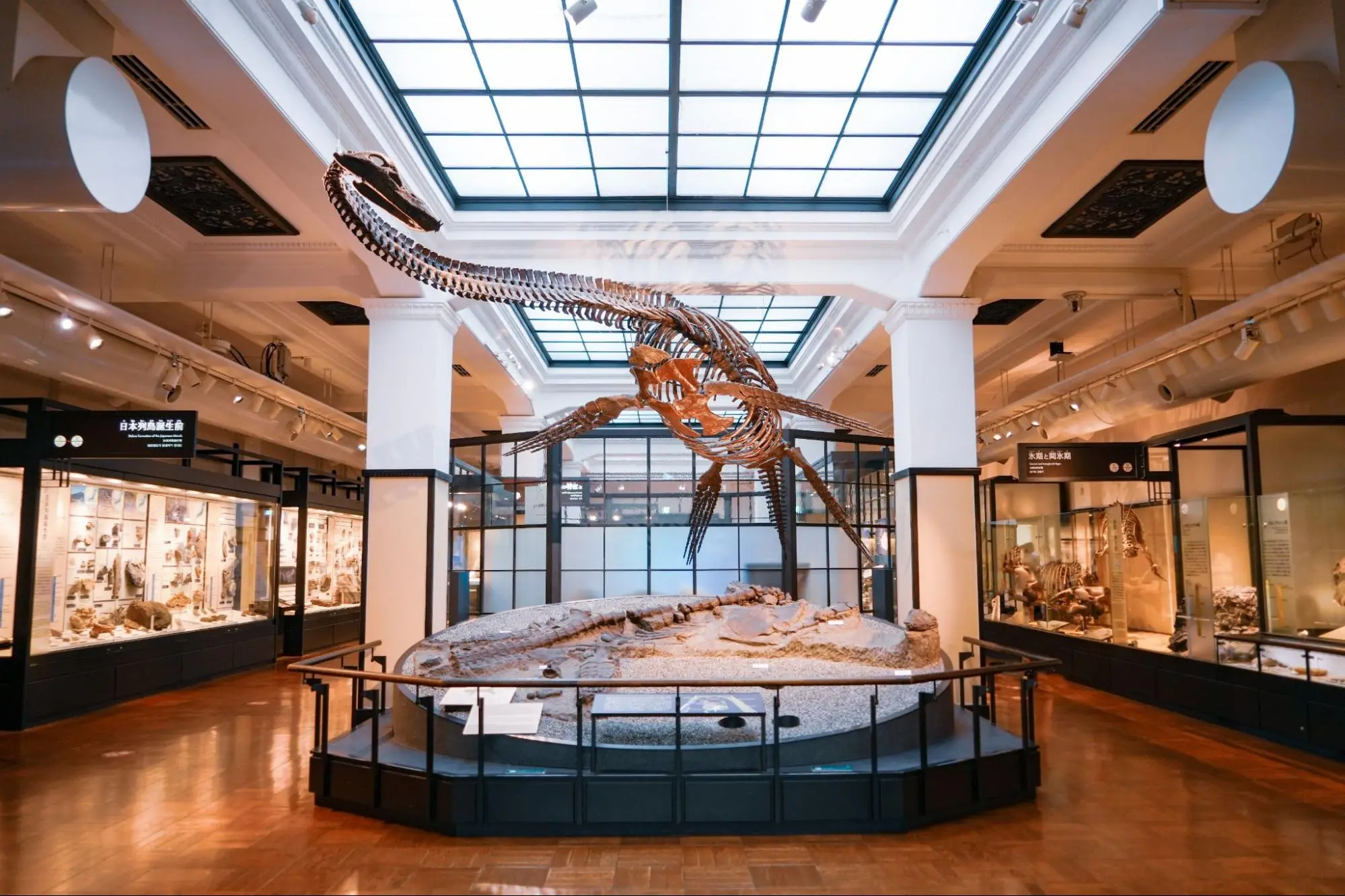 National Museum of Nature and Science Guide 2024: One of the Best ...