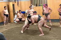 [Tokyo Skytree Town] Watch Sumo Wrestler's Morning Practice in Oshiage
