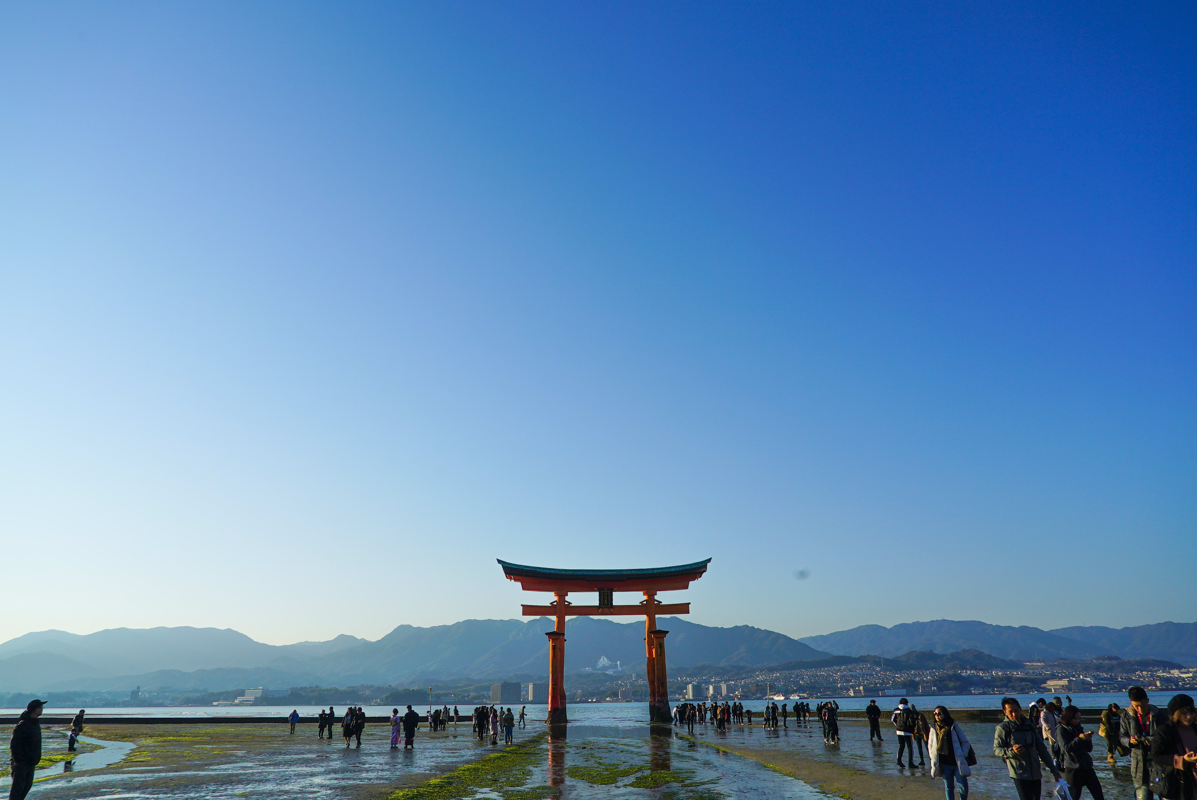 Miyajima Half day Trip Historical Walking Tour