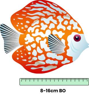 Discus Farms - OzDiscus