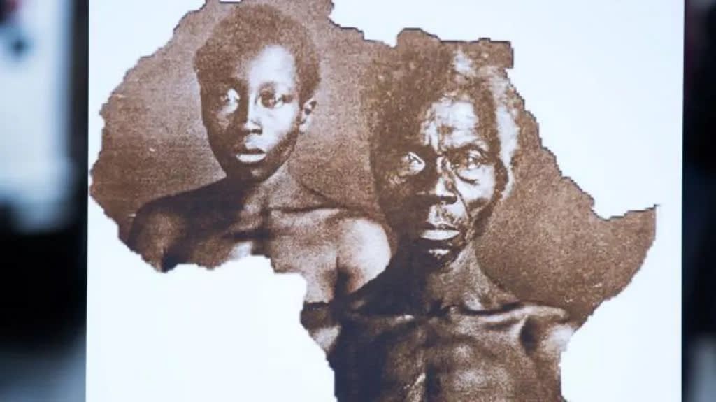 Harvard Agrees To Hand Over Photos Of Enslaved People To Black History ...