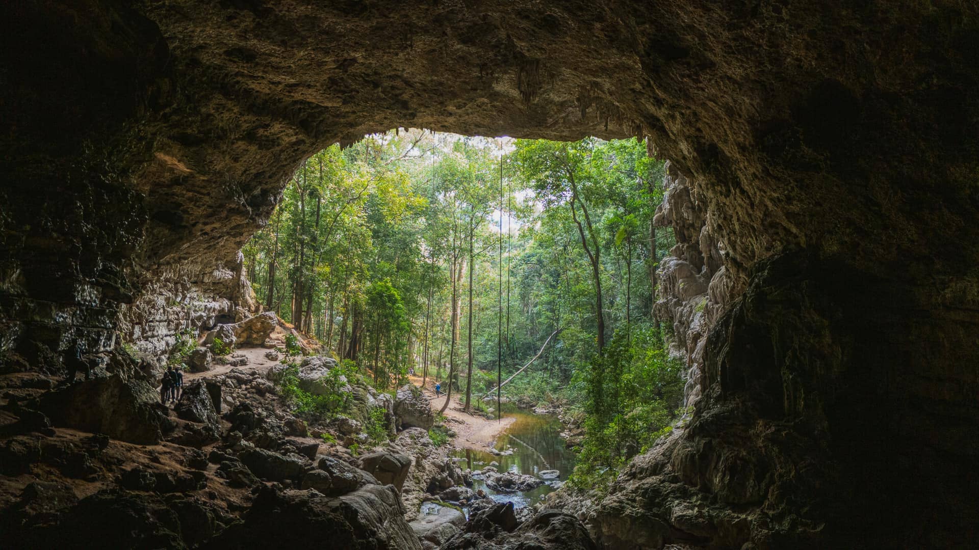 Mountain Pine Ridge | Premier Adventure Tours & Eco-Tourism in Belize