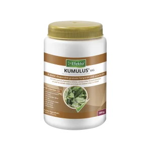 Buy Efekto Kumulus WG - Top Garden Fungicide | Homelifesa