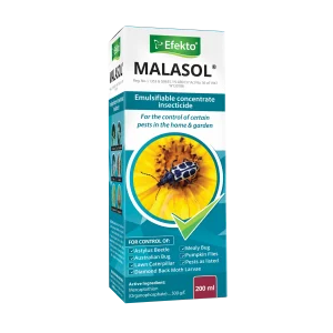 Shop Efekto Malasol | Homelifesa