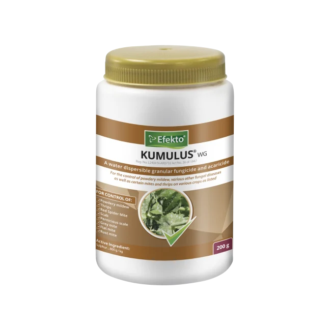 Buy Efekto Kumulus WG - Top Garden Fungicide | Homelifesa