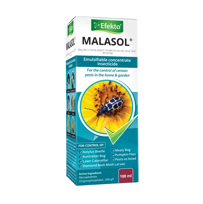 Shop Efekto Malasol | Homelifesa
