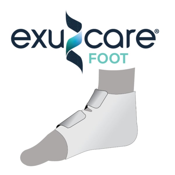 Home - Sun Scientific