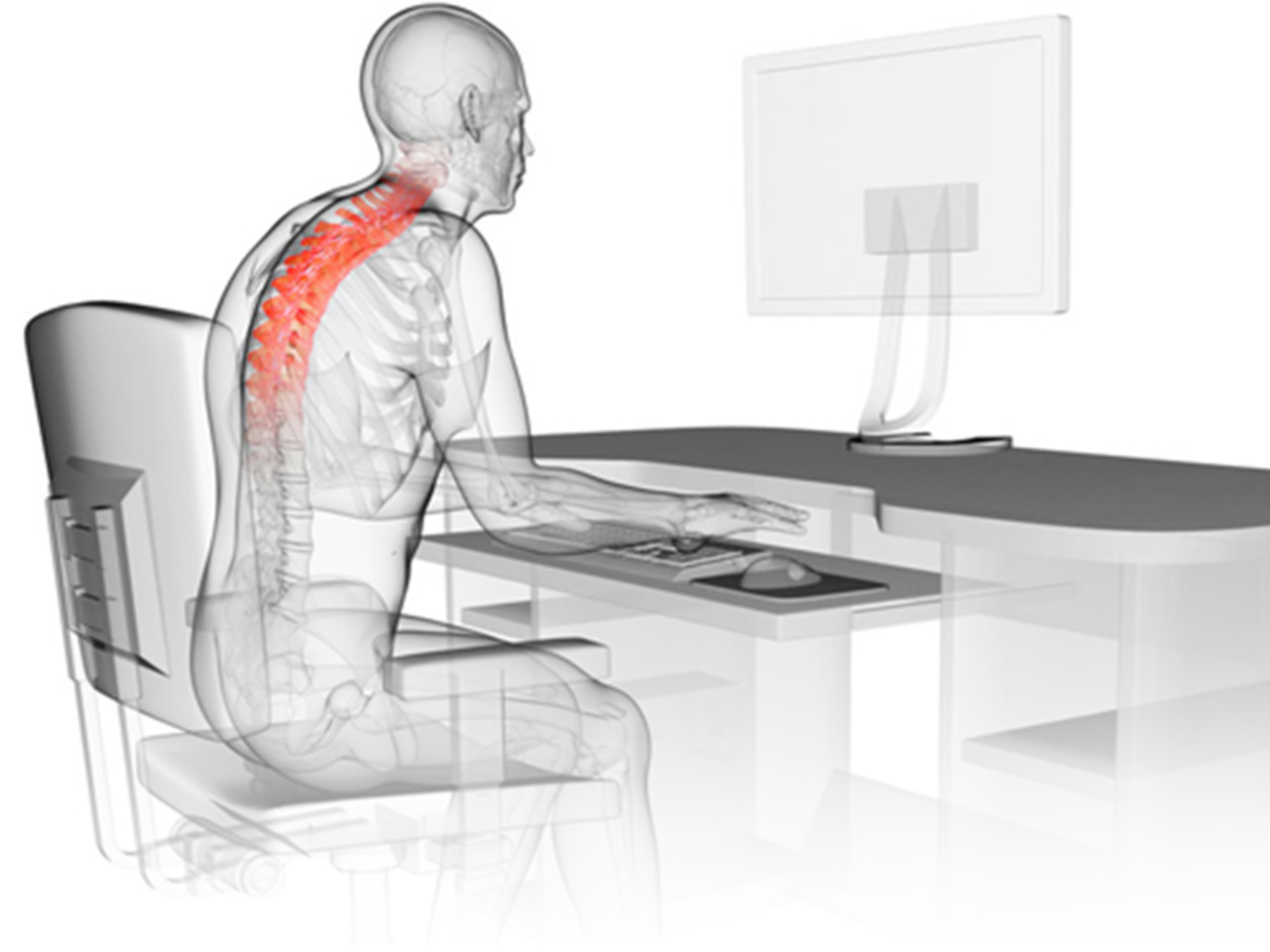 DSE Training Course (Ergonomic Services) - Workspace Health Ltd