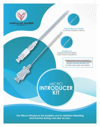 Micro Puncture Kit .018 5fx10cm (4/5f 10cm Standard-Stiff Micro ...
