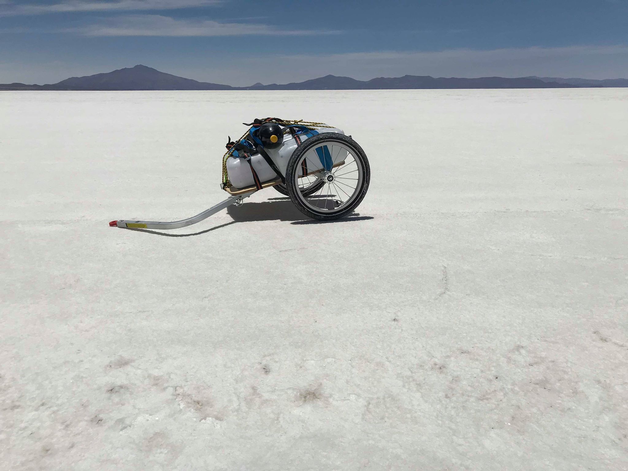 Carry Freedom 2021 Y Trailer 2.2 - Large (Y Trailers) - Amba ...