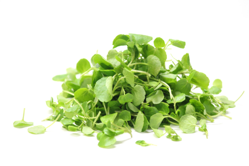 MICRO WATERCRESS-50GRMS (Microgreens) - CITY PRODUCE LTD