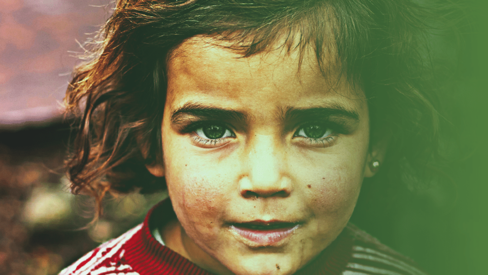 About Us | Human Aid & Advocacy