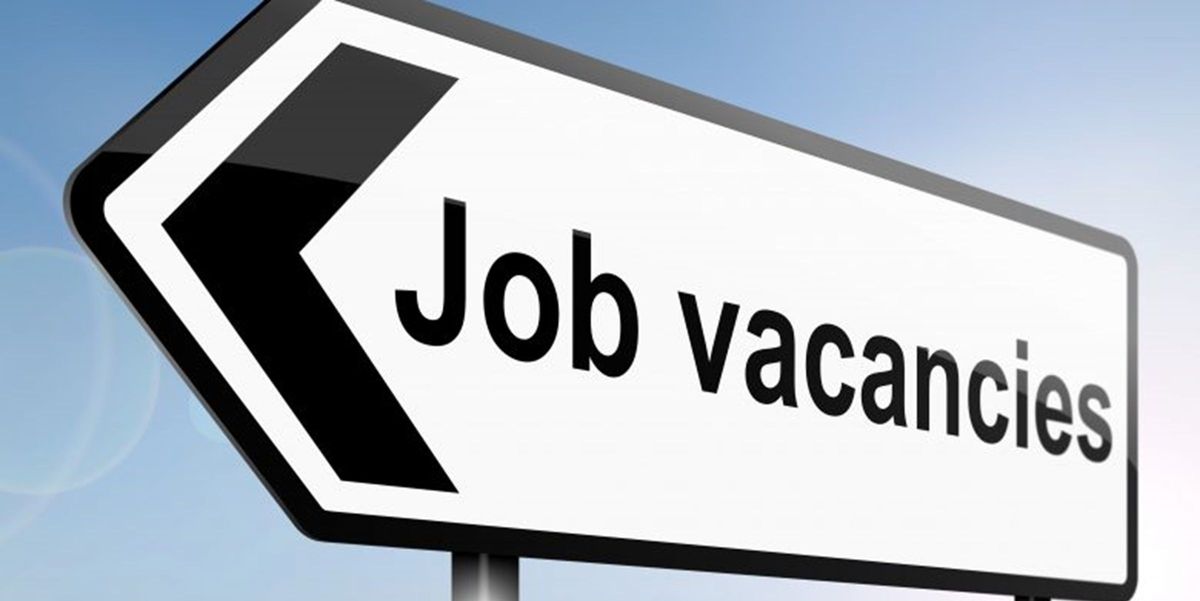 Vacancies | Human Aid & Advocacy