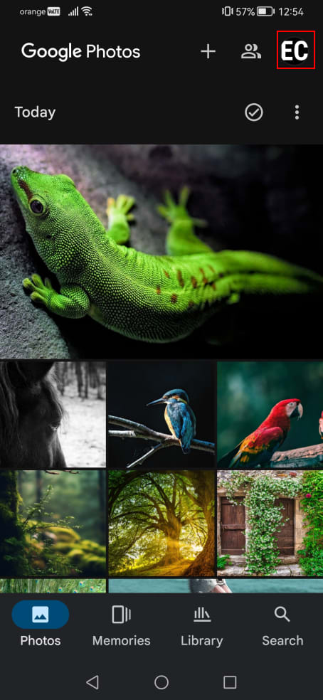 DeGoogle your life: How to delete all photos from Google Photos How to delete all photos from ...