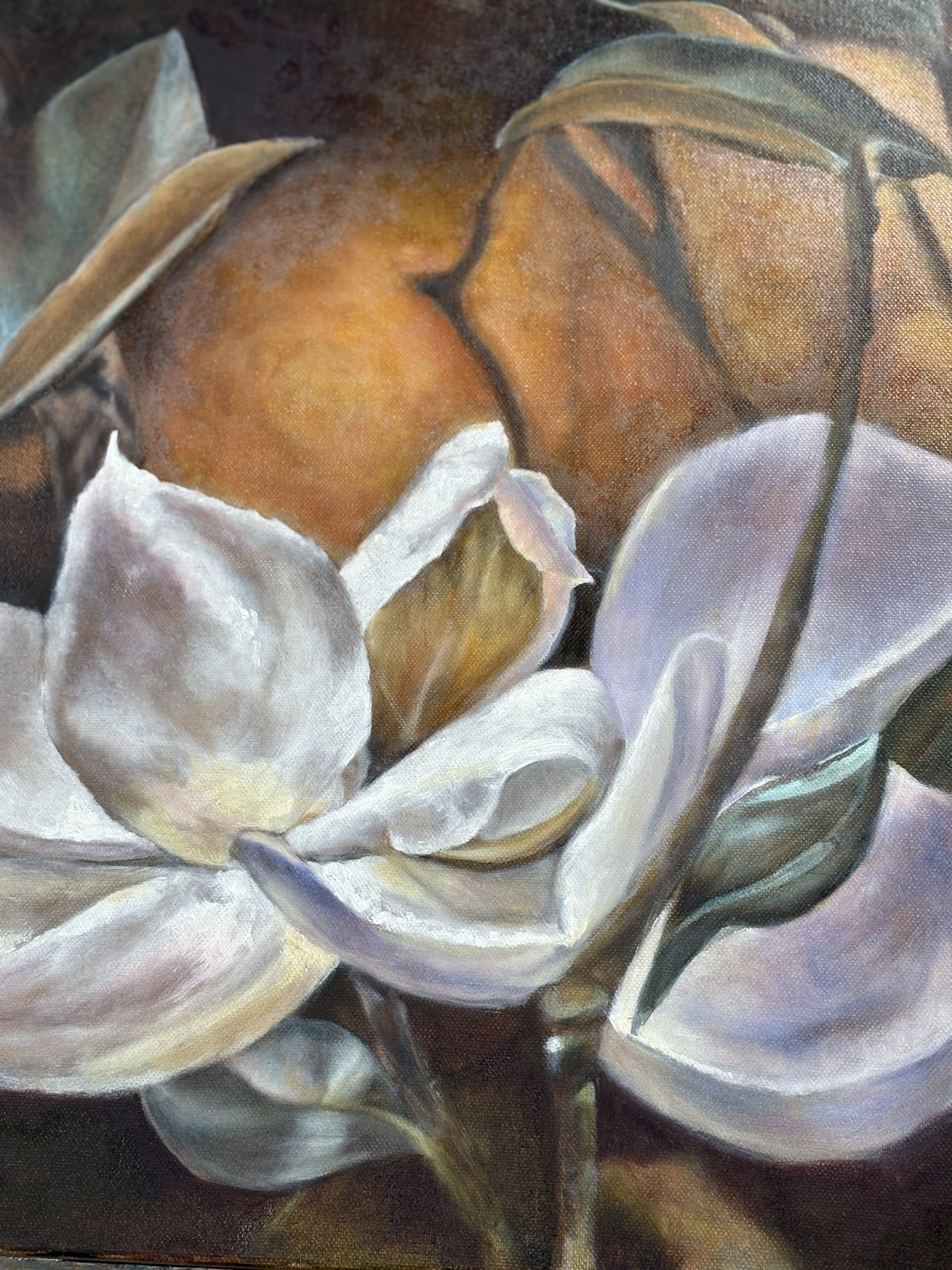 Magnolia at dawn by Jean Collins | Arts.Sale