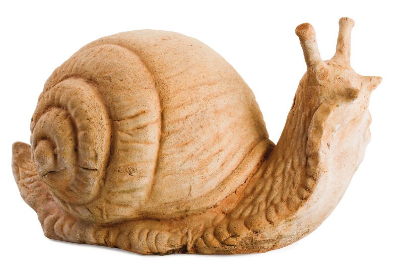 Tuscan Pots · Animals