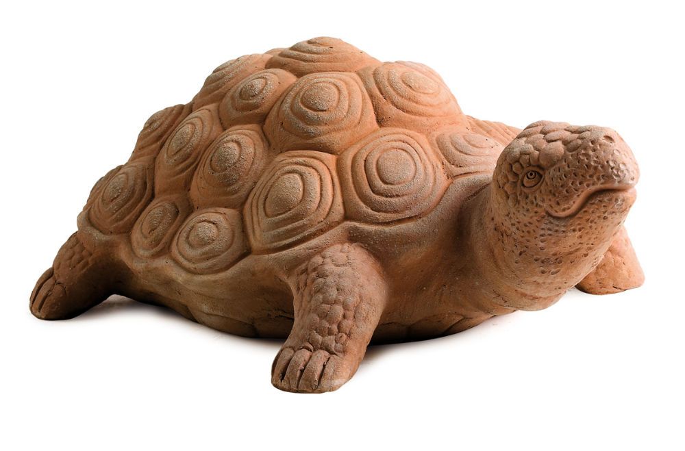 Tuscan Pots · Animals