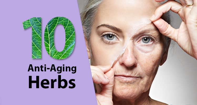 10 Herbs For Anti-aging And Skin Care - Ayurveda Tips