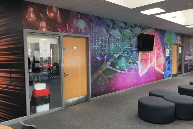 Discover 5 Amazing Uses Of Wall Wraps - Ultimate Tips