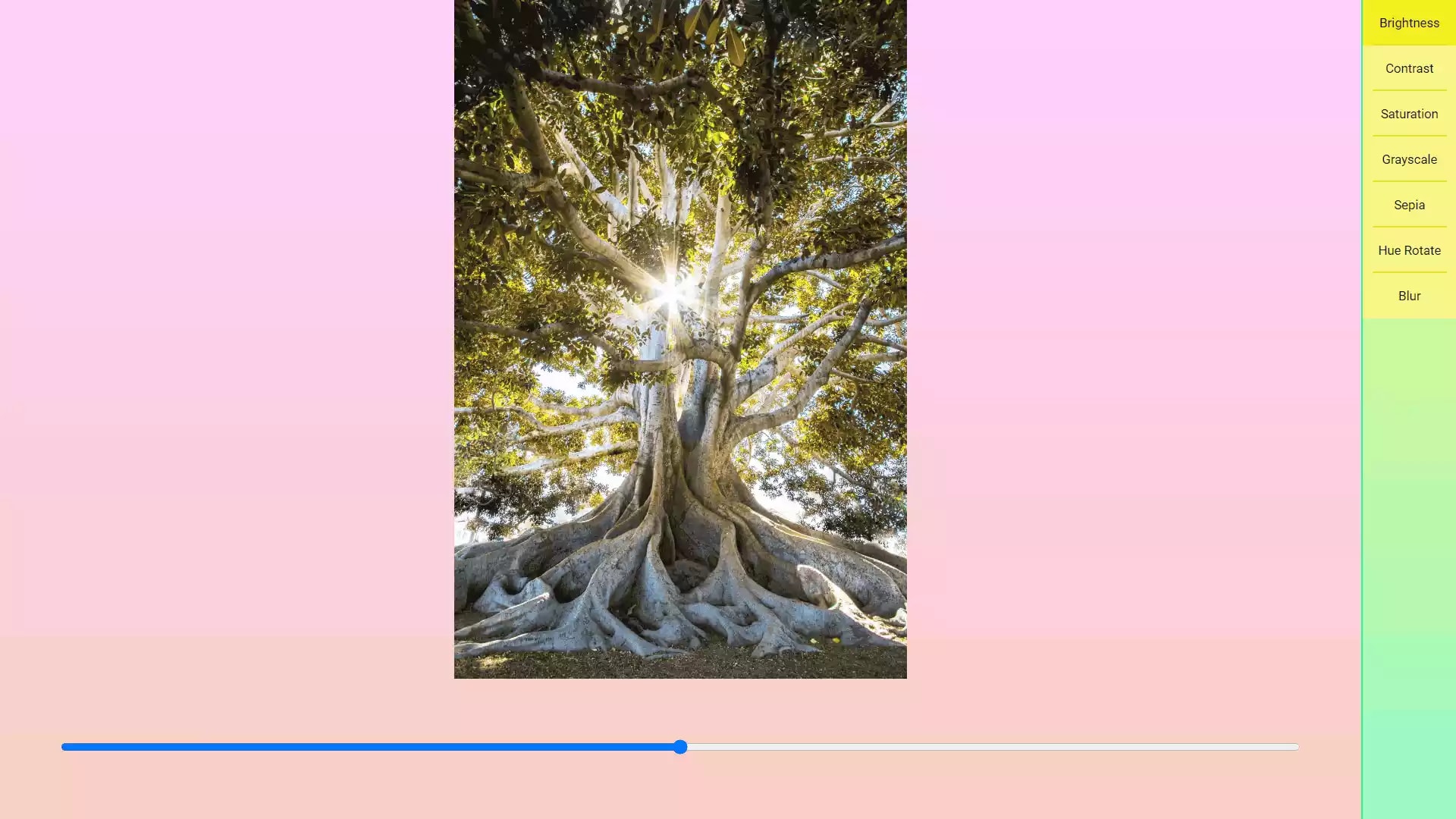 Create a Stunning Photo Filter Web App with React JS Create a Stunning Photo Filter Web App with React JS