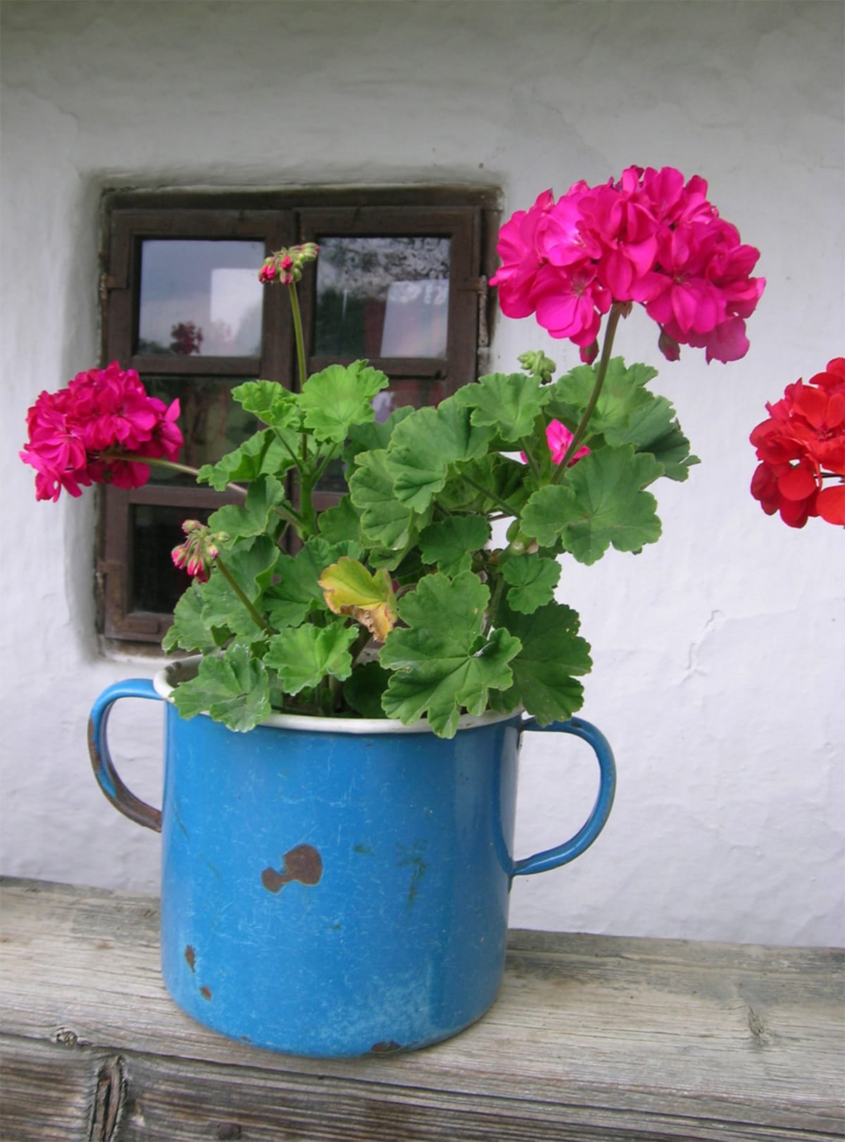 Nach alter Mütter Sitte: Haushalt-Tipps - Annabelle