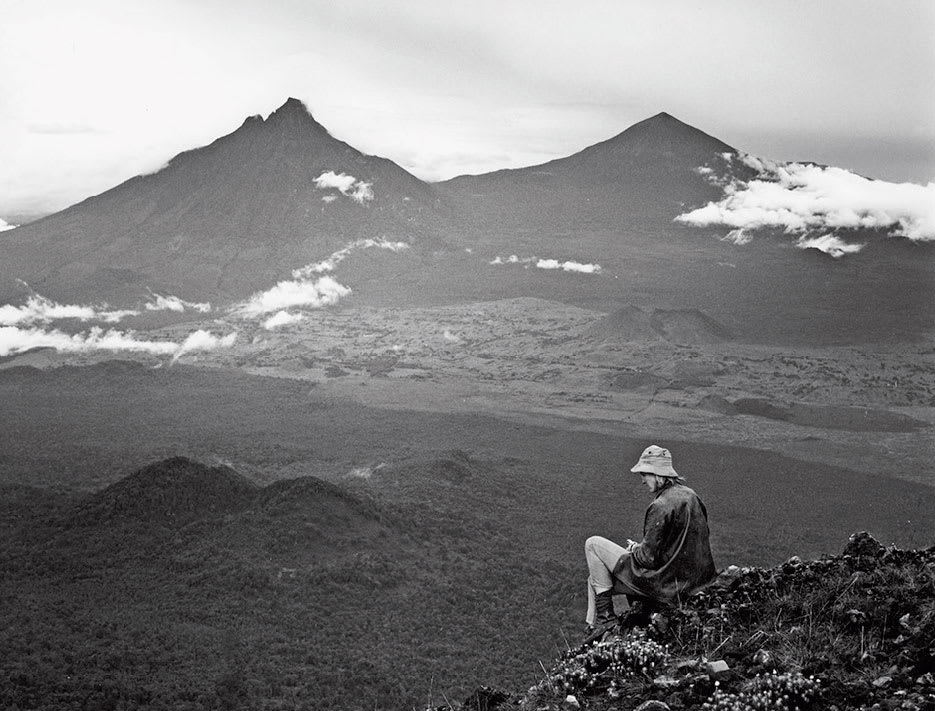 Joan Root - Wildfang in Afrika - Annabelle