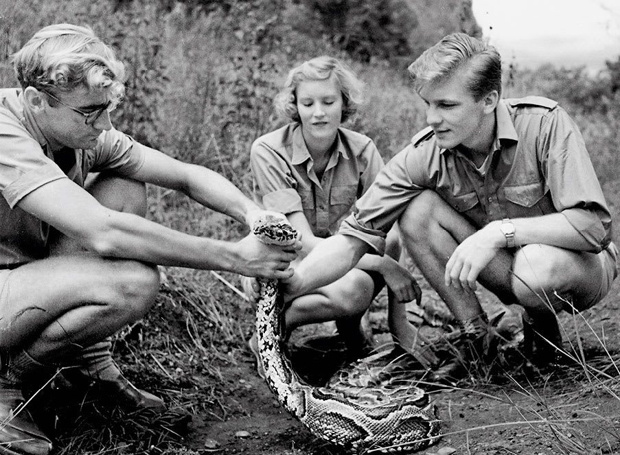 Joan Root - Wildfang in Afrika - Annabelle