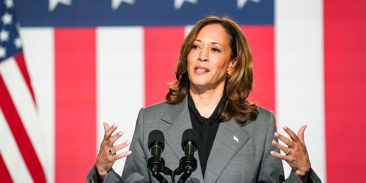 Wahlversprechen von Kamala Harris: Was kann sie als Präsidentin ...