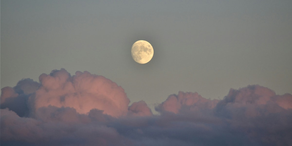 Lela sohna urbabydollxo porn she definitely matches those